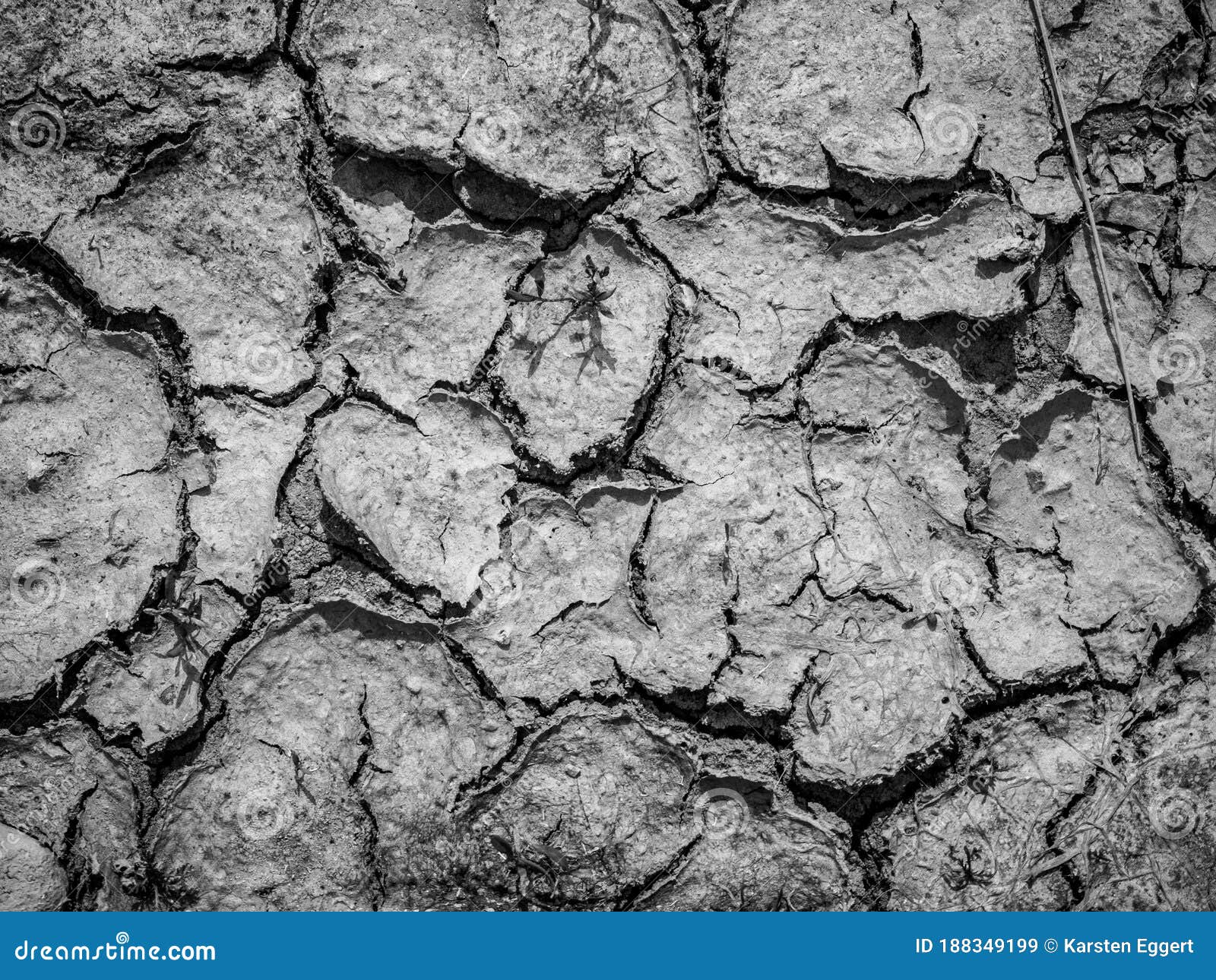 Due To Drought a Soil is Fissured and Torn and Forms a Pattern Stock ...