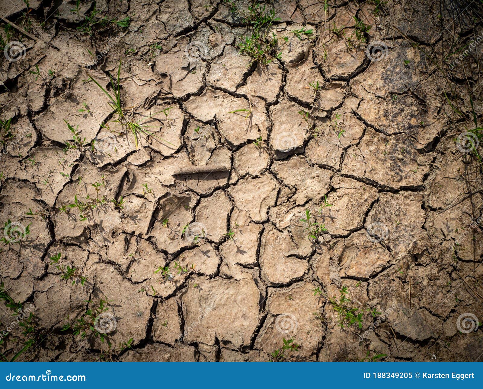 Due To Drought a Soil is Fissured and Torn and Forms a Pattern Stock ...