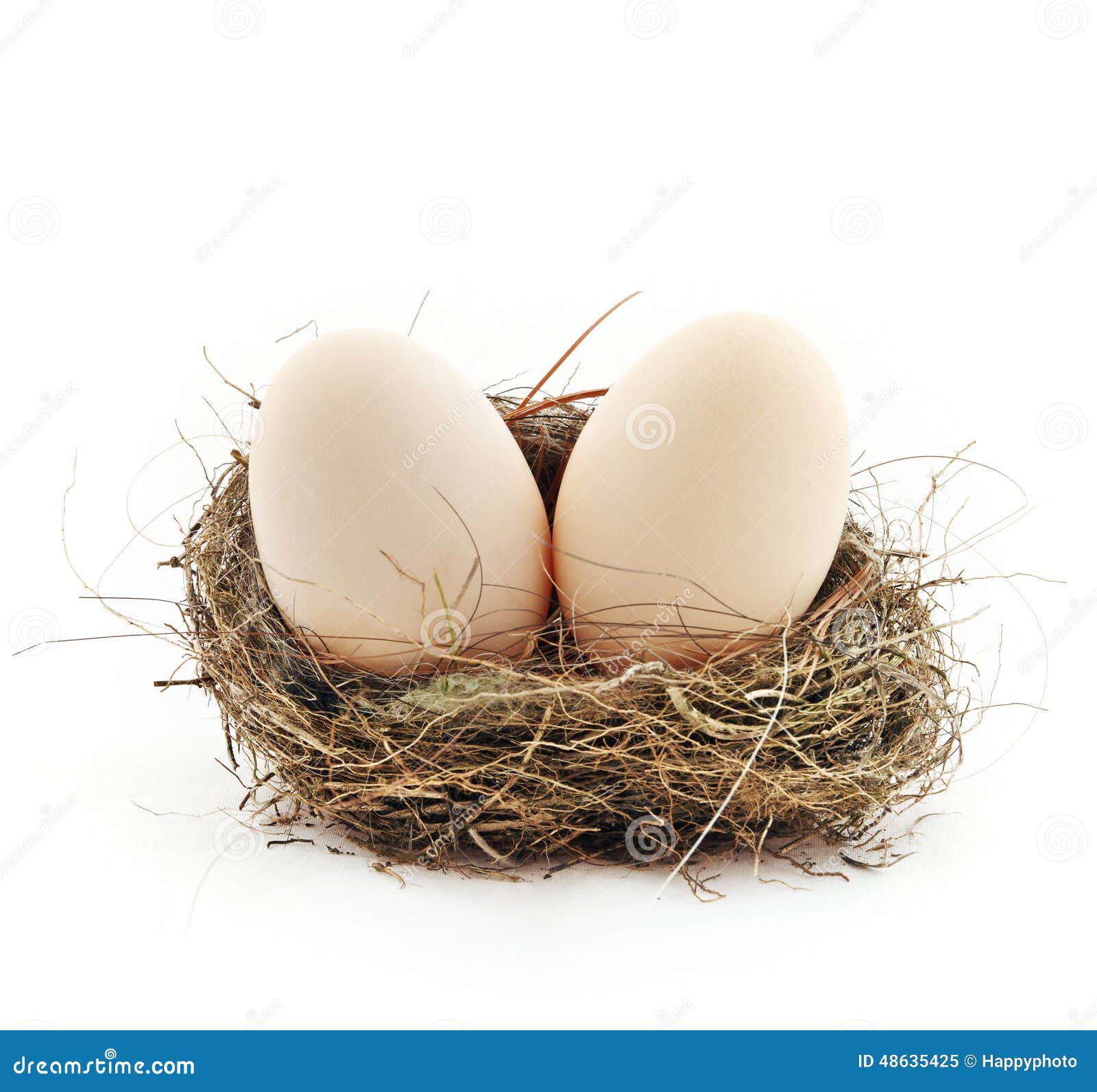 Due Uova All'interno Del Nido Immagine Stock - Immagine di piccolo ...