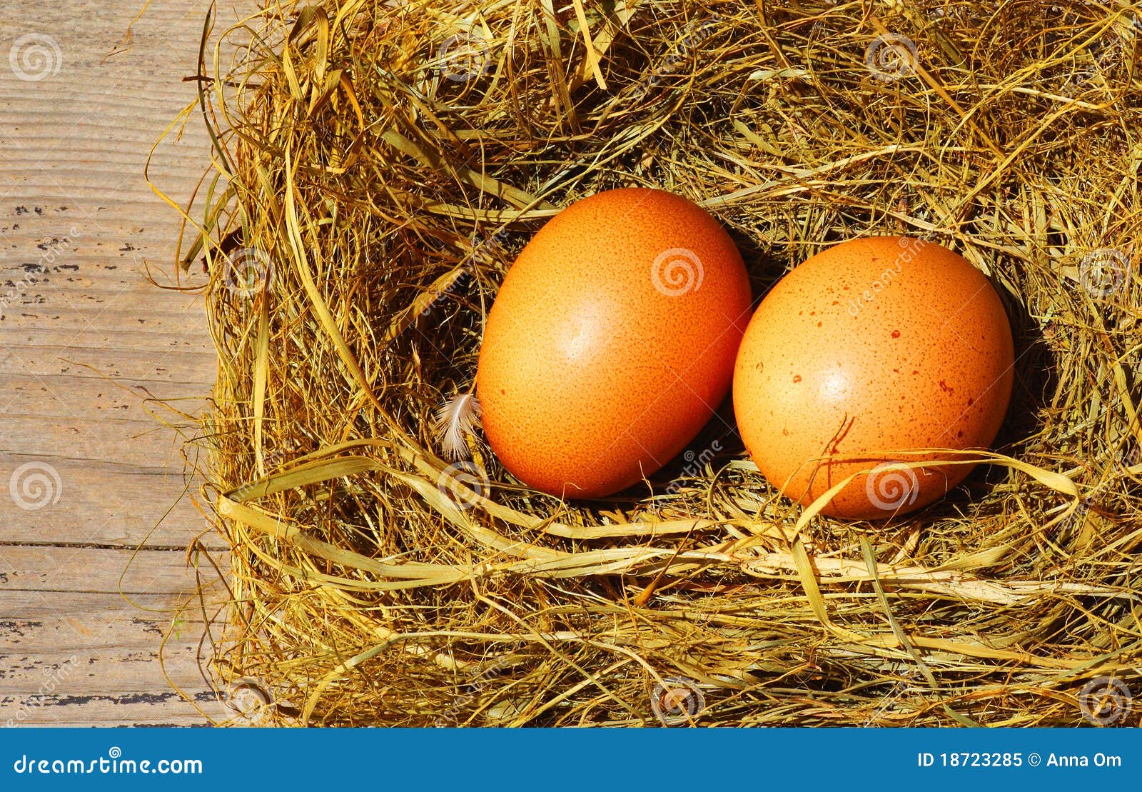 Due uova dorate immagine stock. Immagine di uova, pasqua - 18723285