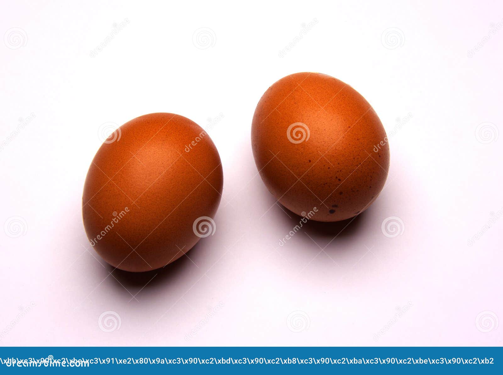 Due Uova Isolate Su Fondo Bianco Immagine Stock - Immagine di marrone ...