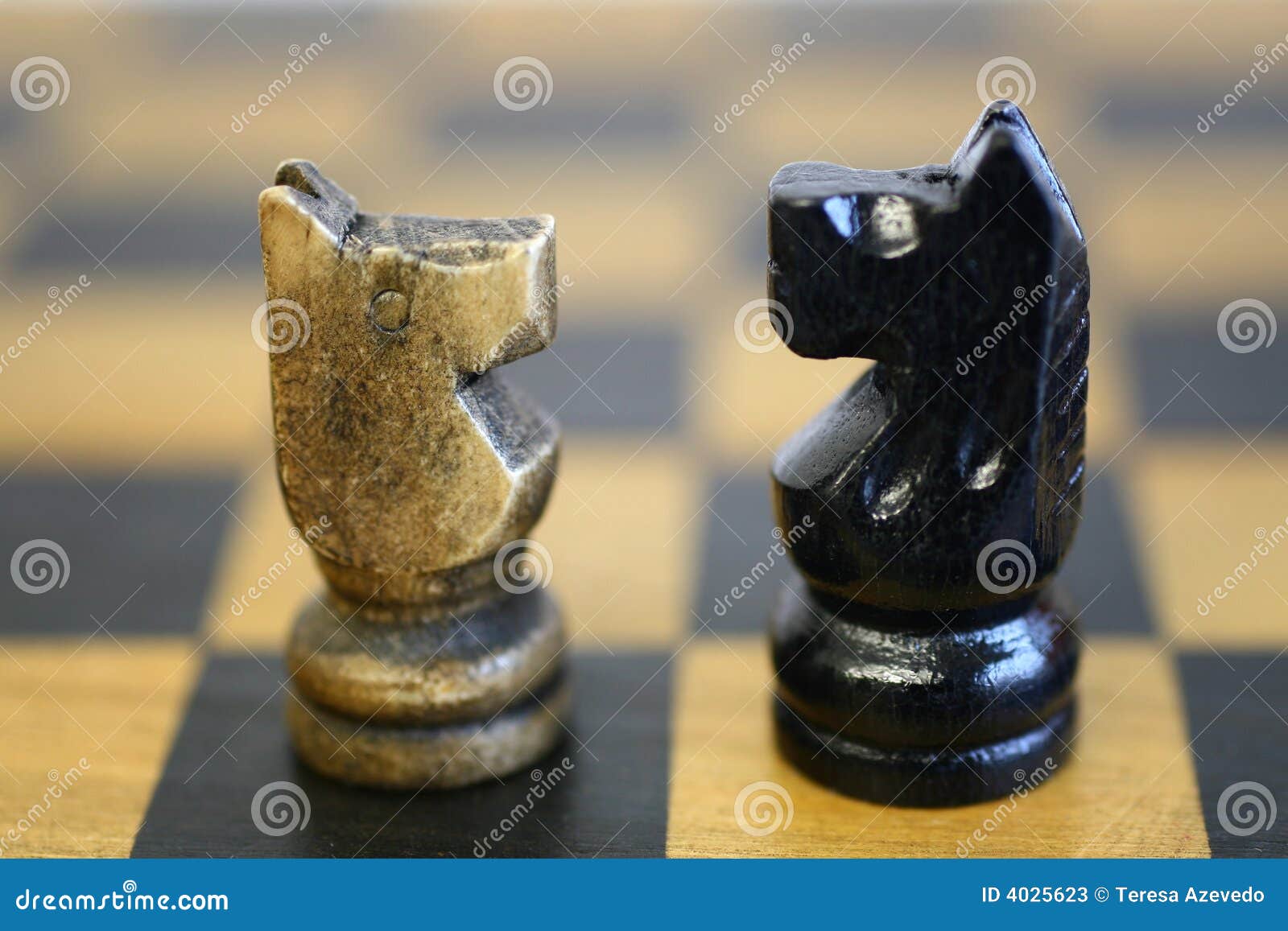 Duel stock image. Image of battle, knight, power, board - 4025623