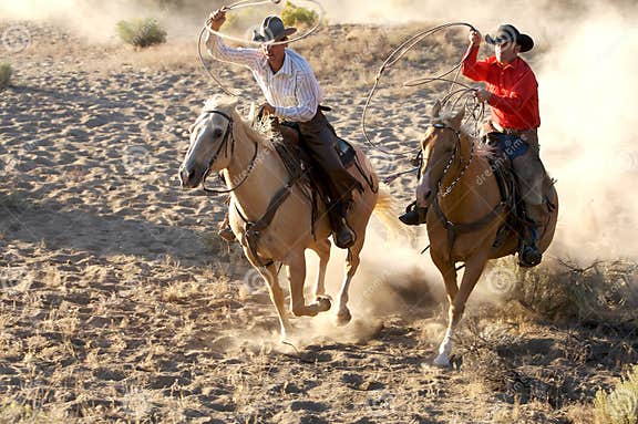 Dueling Cowboys stock photo. Image of herd, charge, evening - 5234212
