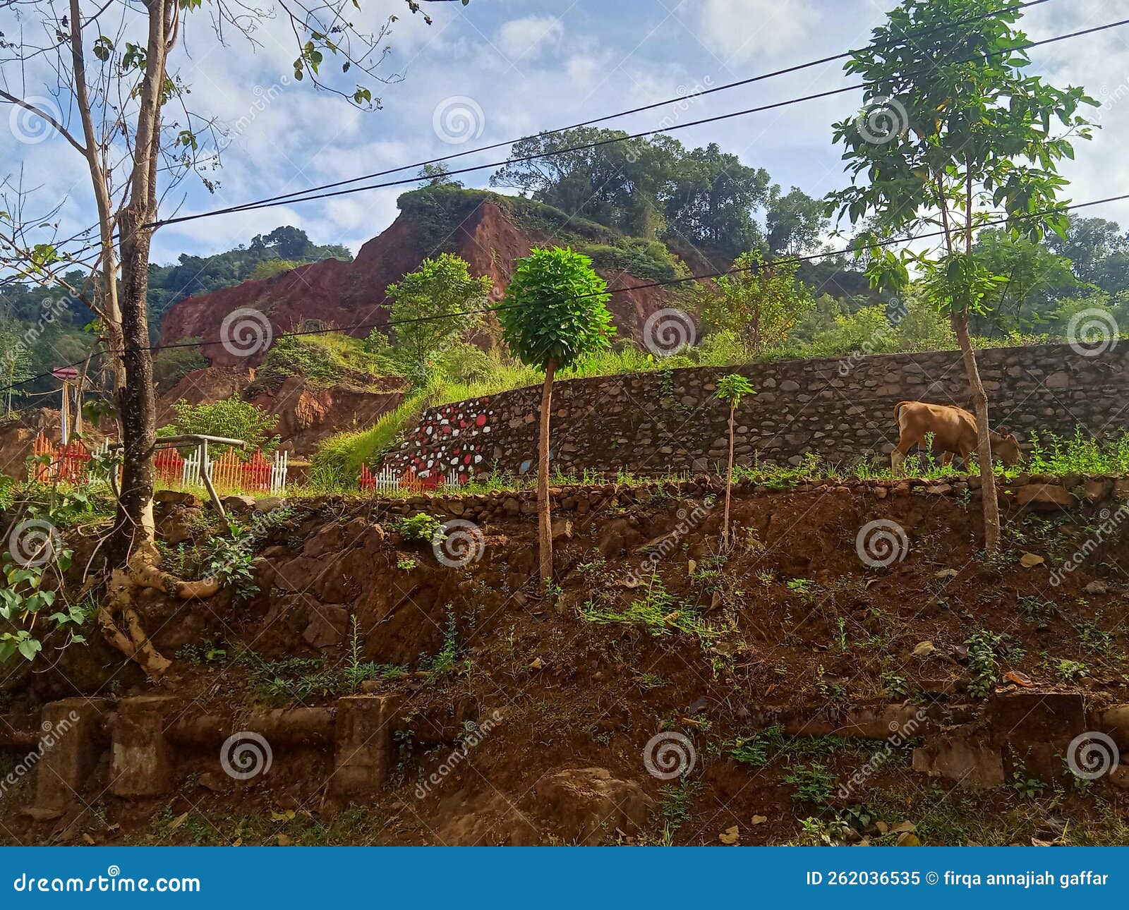 Dug Mountains Trees and There is One Cow Stock Image - Image of ruins ...