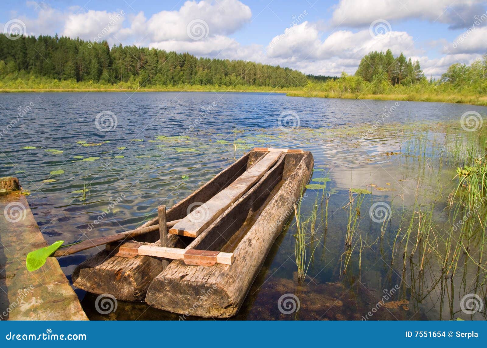Dug-out in Small Forest Lake Stock Photo - Image of grass, plant: 7551654