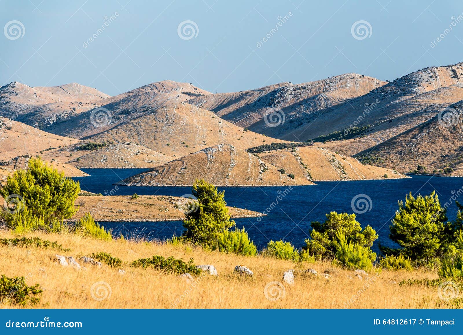 Dugi Otok Island stock image. Image of island, trees - 64812617