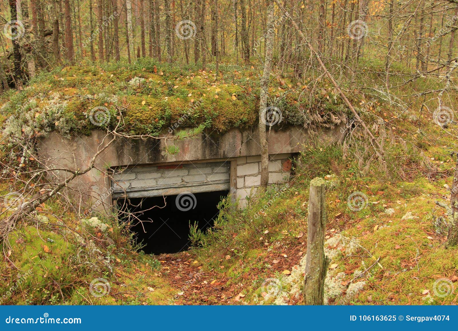 Dugout in the woods stock image. Image of outdoor, bark - 106163625