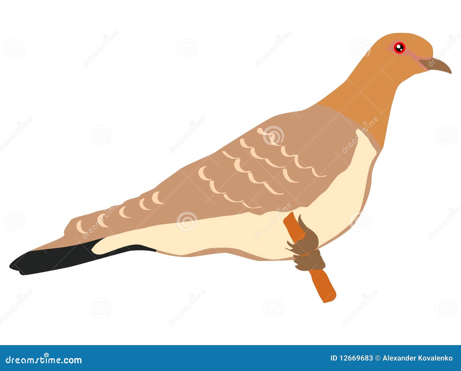 Duif vector illustratie. Illustration of vorm, veer, dier - 12669683
