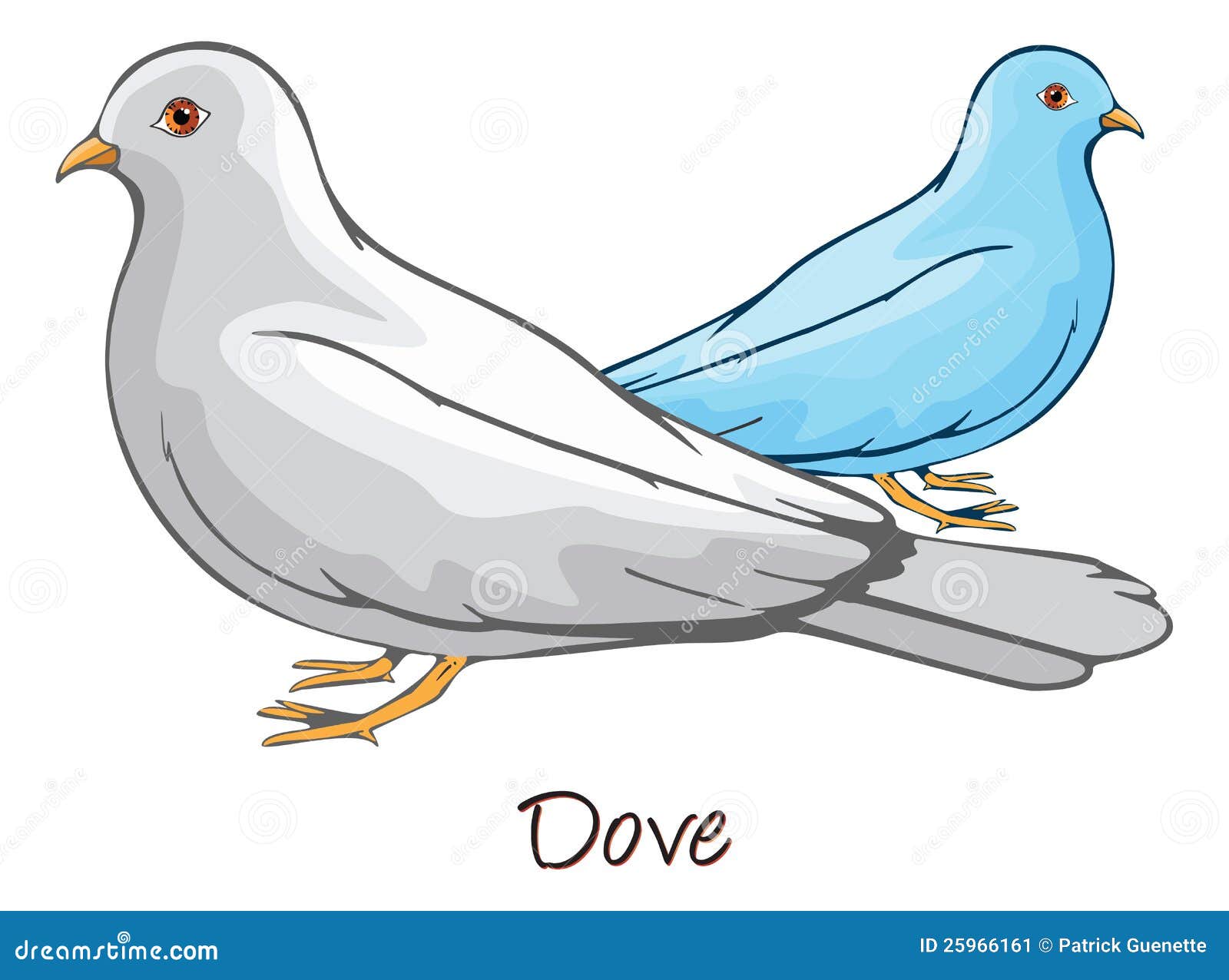 Duif, De Illustratie Van De Kleur Vector Illustratie - Illustration of ...