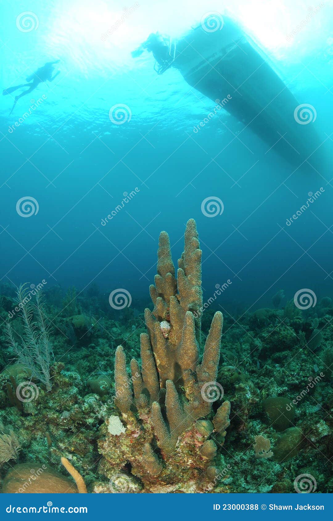 Duik boot over koraalrif stock foto. Image of duik, tropisch - 23000388