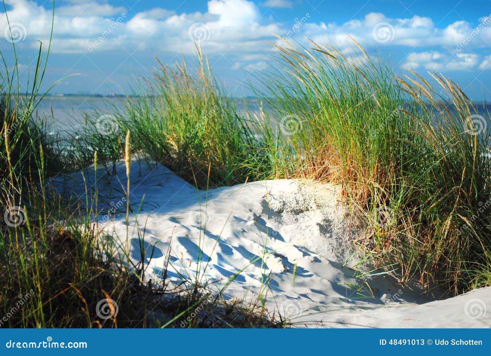 Duin en duingras stock afbeelding. Image of dekking, onderbreking ...