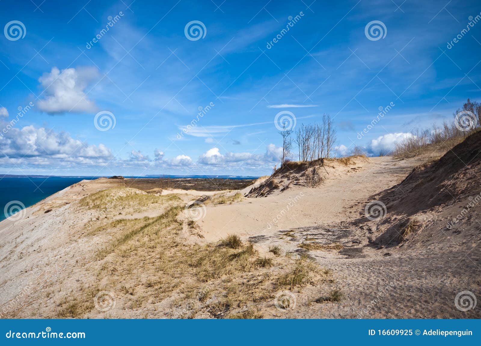 Duinen Bij De Rand Van Het Meer Stock Afbeelding - Image of ...