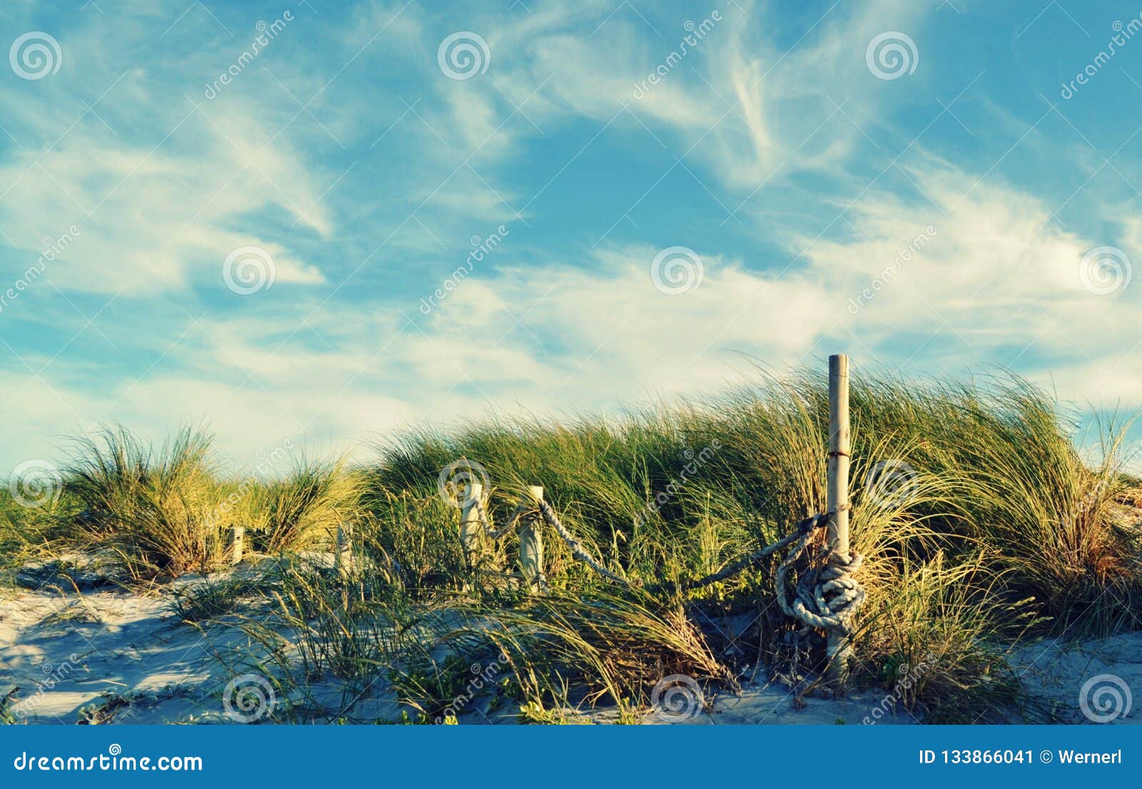 Duingras stock afbeelding. Image of sluit, groen, hemel - 133866041