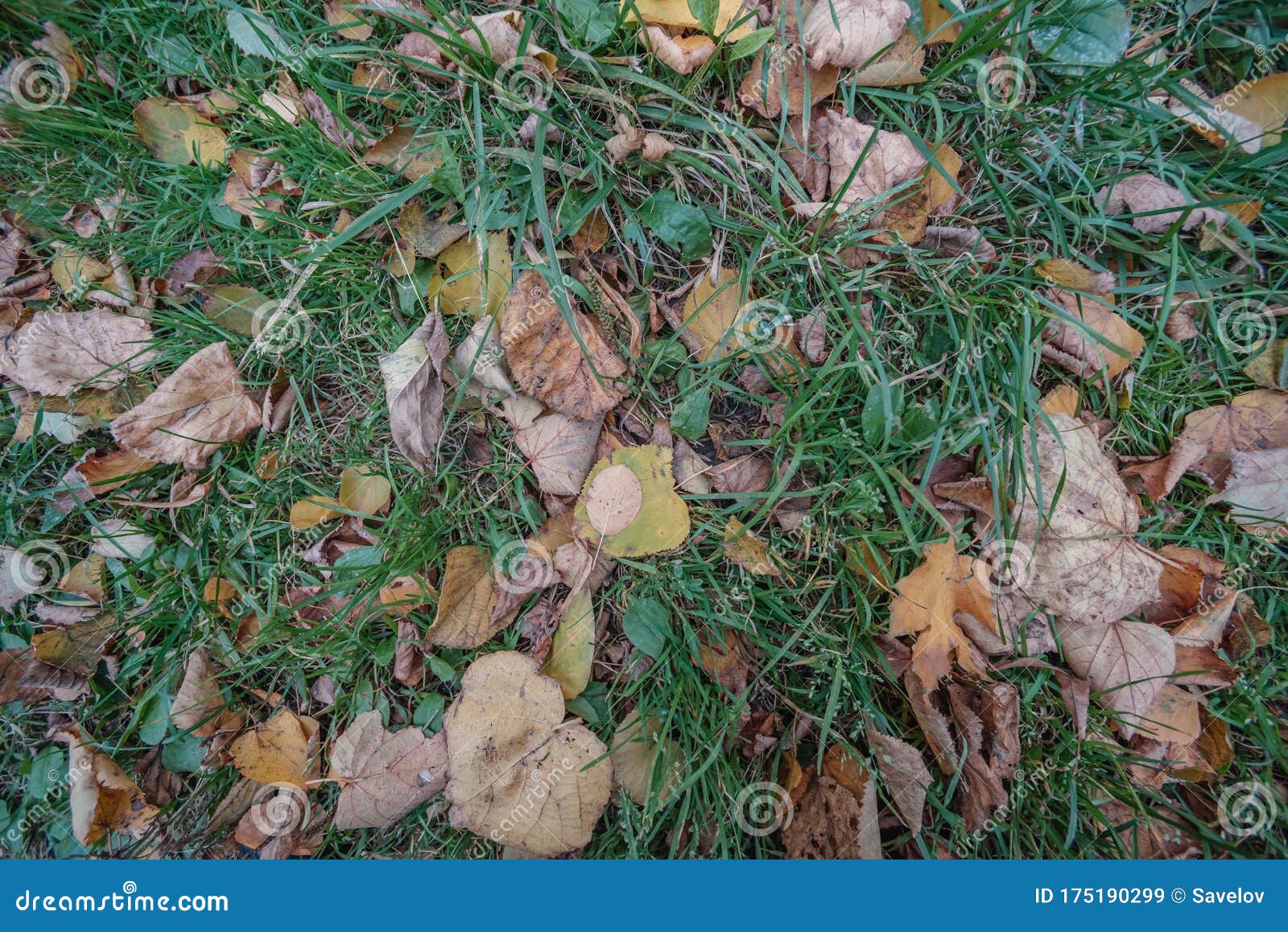 A Dull Green Plastric Stencil Of The English Alphabets Letters Stock ...