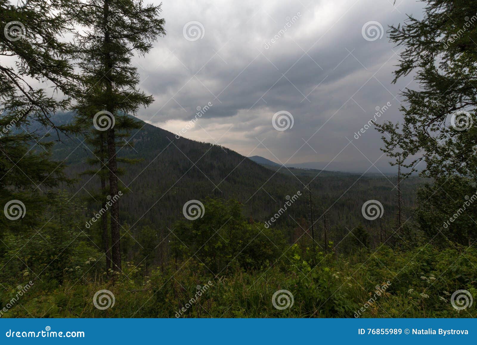 Dull sky in mountains stock image. Image of landscape - 76855989