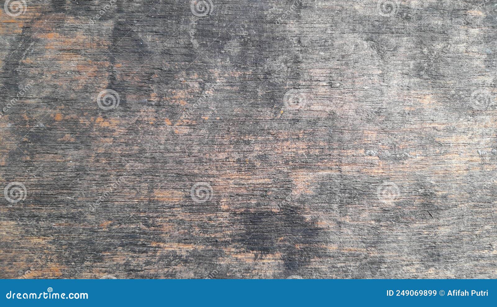 Dull Wood Texture stock image. Image of soil, rock, wood - 249069899