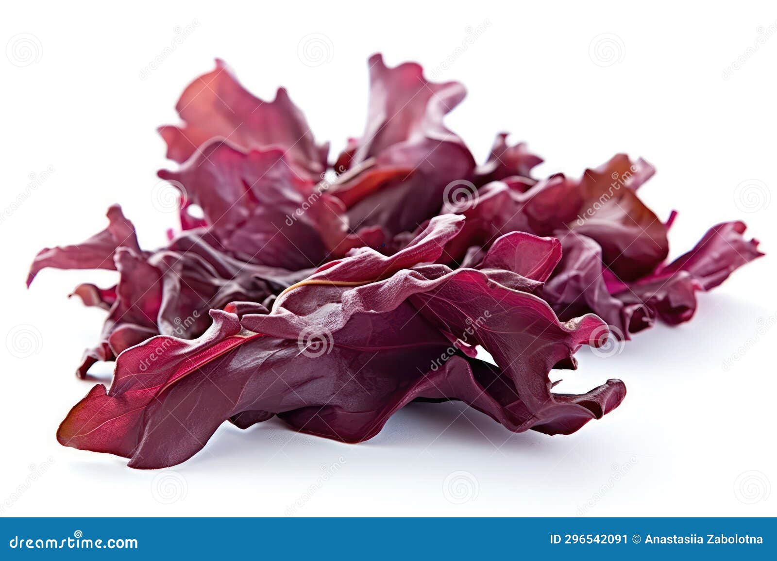 Dulse Algae on White Background, Closeup. Generative AI Stock ...