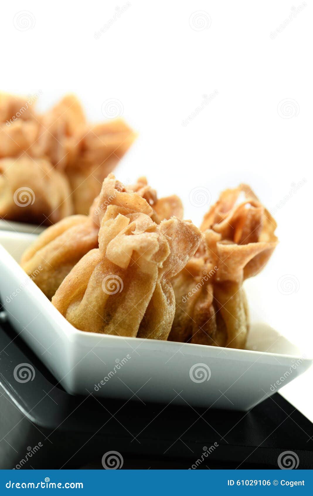 Dum Sum Chicken Wontons stock photo. Image of dimsum - 61029106