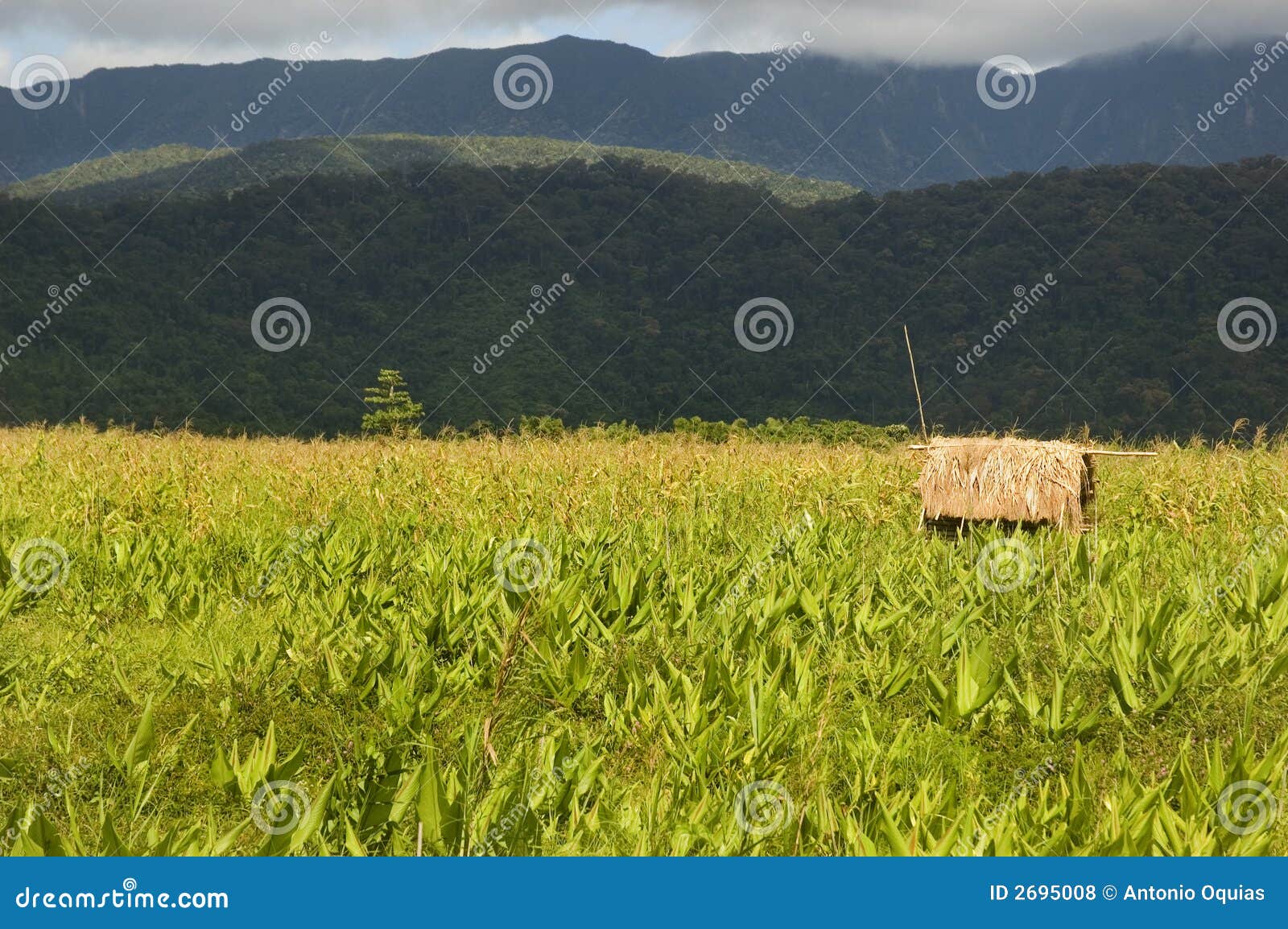 Dumagat Hut stock photo. Image of scene, water, idyllic - 2695008