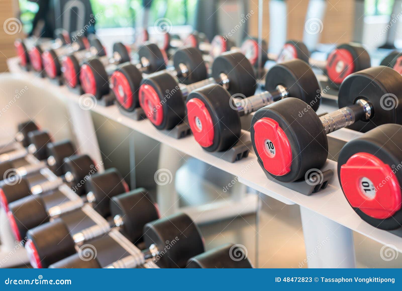 Dumb bell weight stock image. Image of club, rack, dumbbell - 48472823