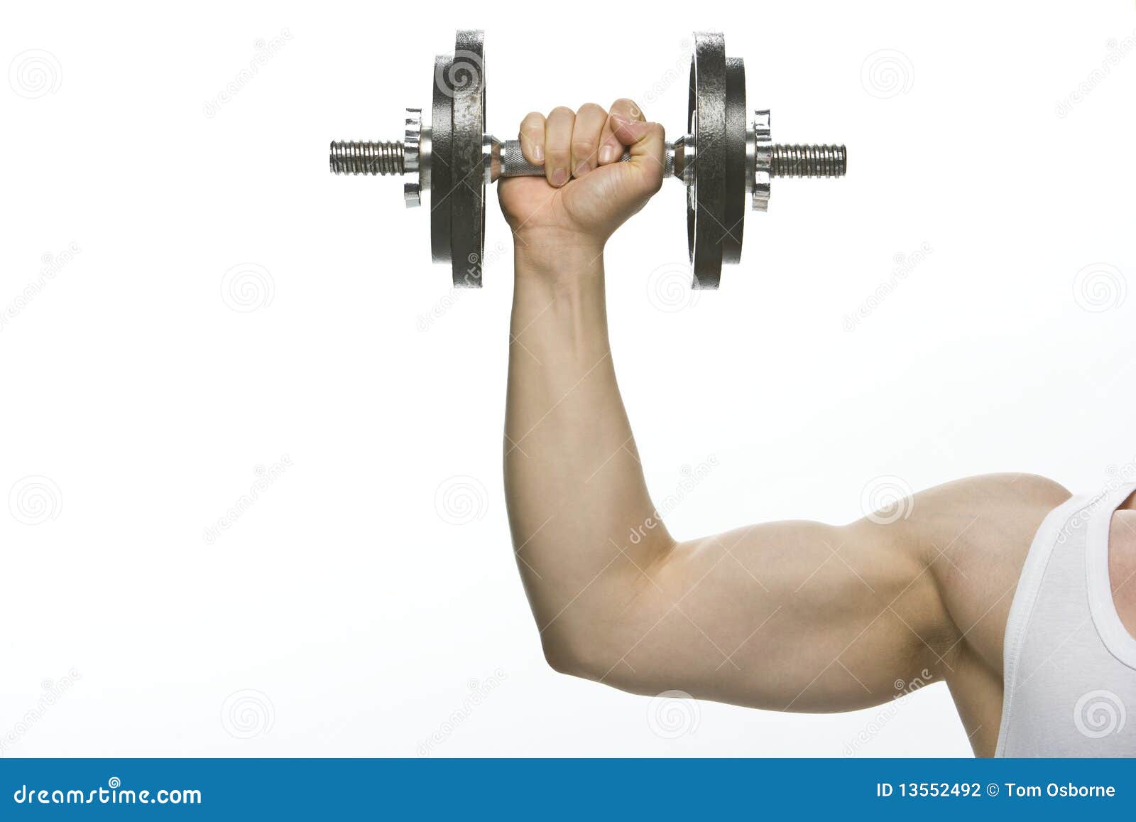 Dumbbell Being Held Up by Arm. Stock Photo - Image of grip, body: 13552492