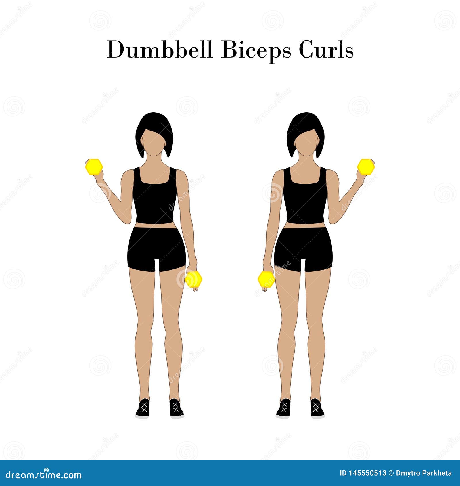 Exercising. Curls On The Bench Royalty-Free Stock Photo | CartoonDealer ...