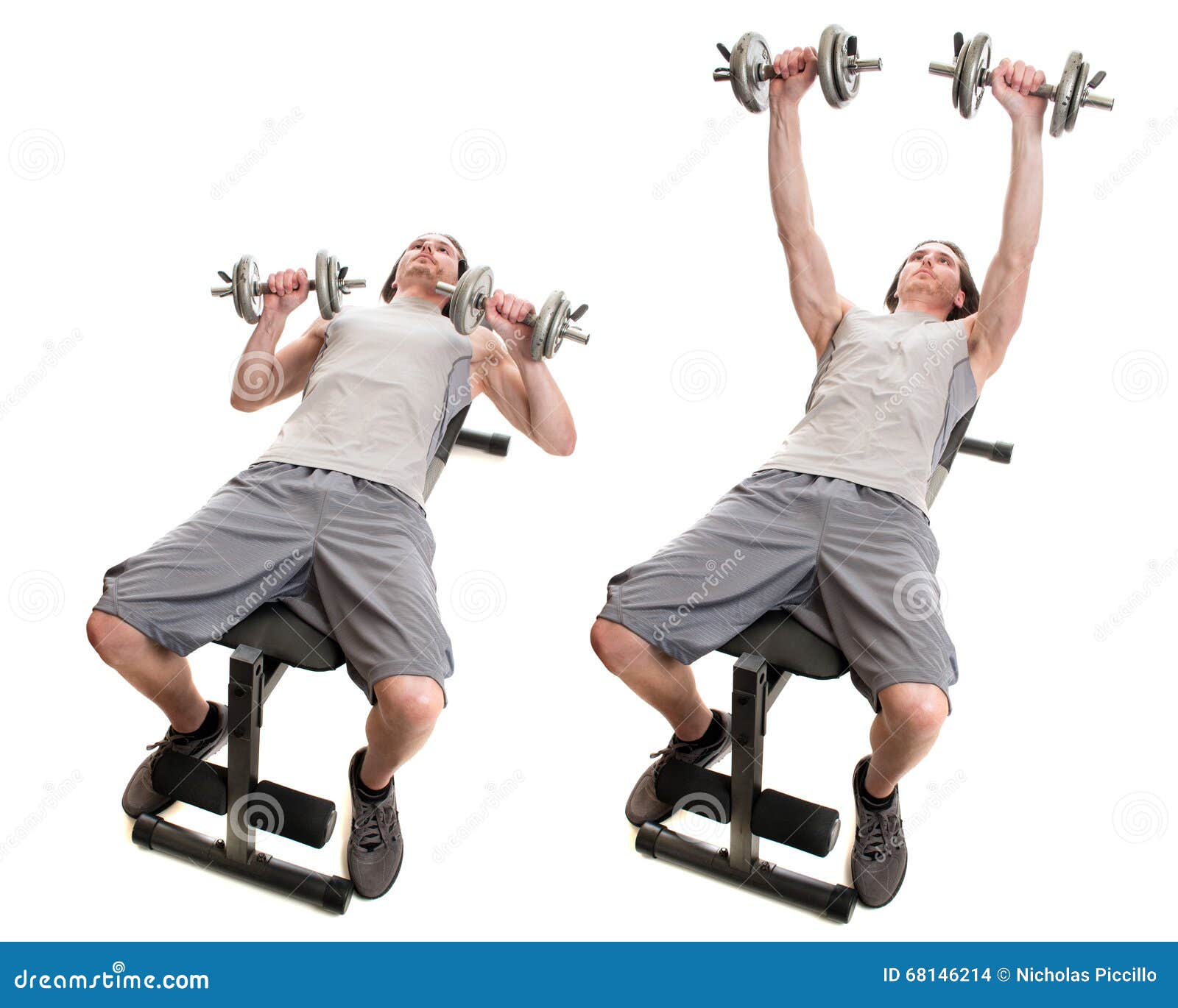 Dumbbell Chest Press stock photo. Image of body, adult - 68146214
