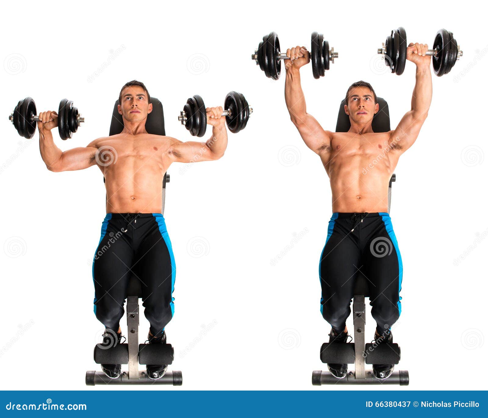 Dumbbell Chest Press stock image. Image of chest, fitness - 66380437