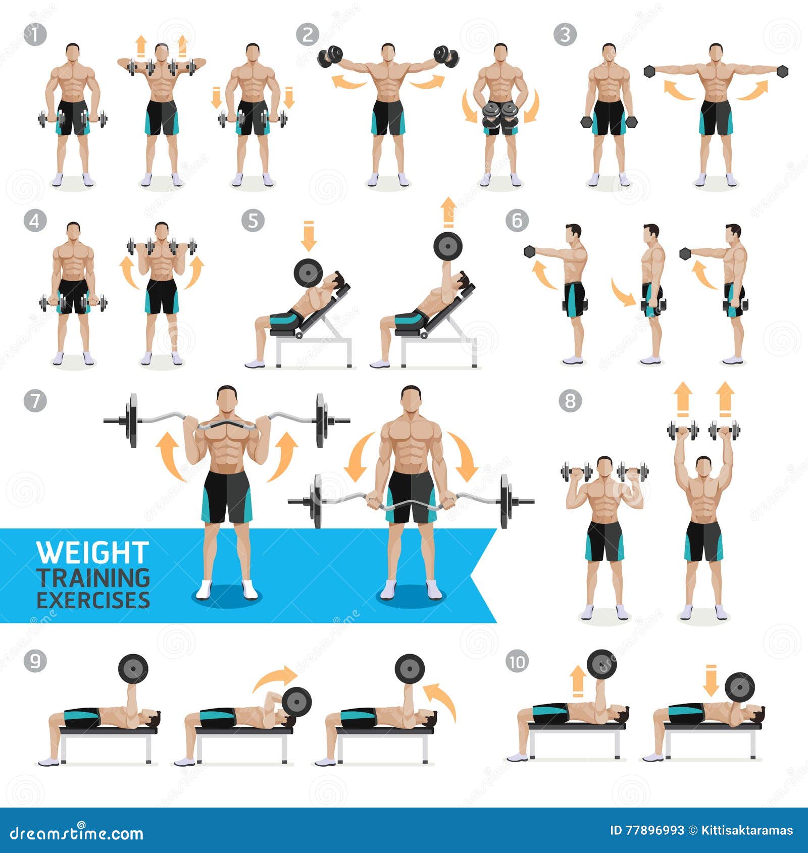 Dumbbell Exercises and Workouts Weight Training. Stock Vector ... Dumbbell Exercises and Workouts Weight Training. Stock Vector ...