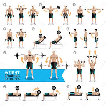 Dumbbell Exercises and Workouts Weight Training. Stock Vector ...