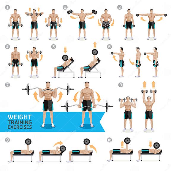 Dumbbell Exercises and Workouts Weight Training. Stock Vector ...