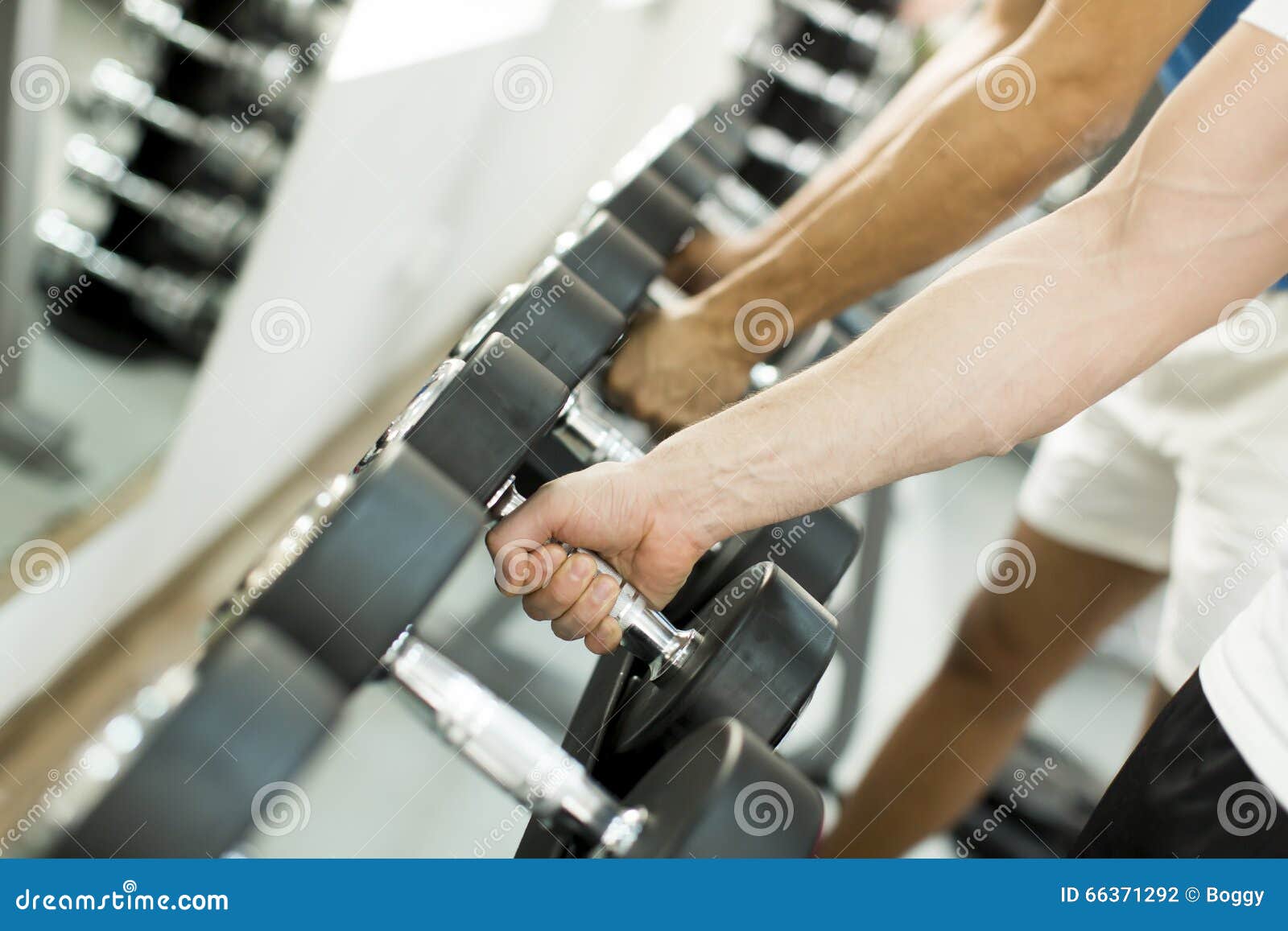 Dumbbell in the gym stock photo. Image of dumbbell, hold - 66371292