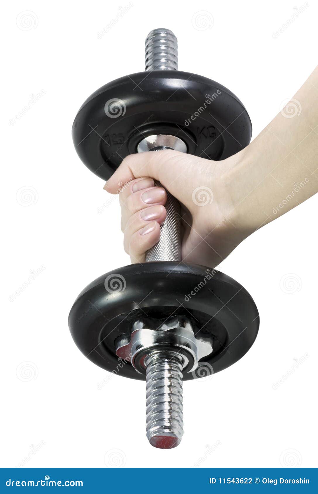 Dumbbell in hand stock photo. Image of hand, equipment - 11543622