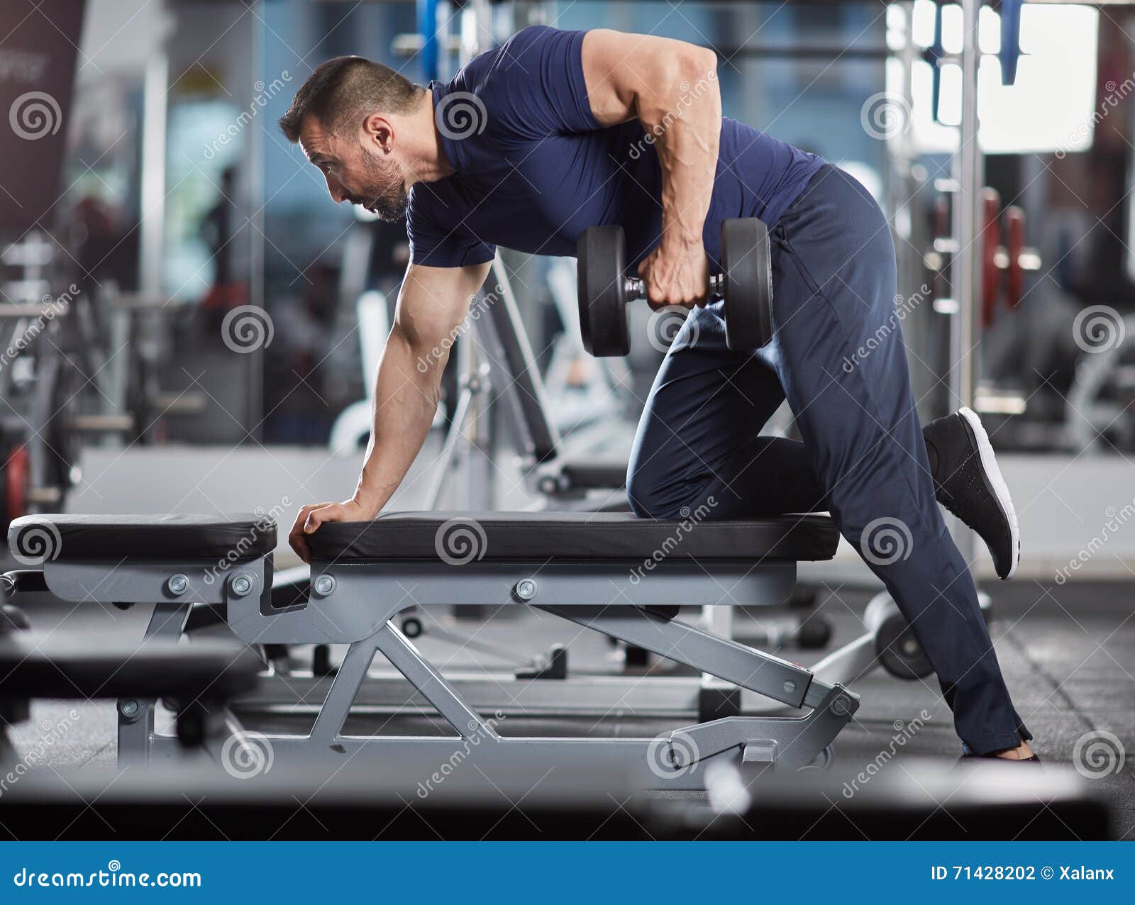 Dumbbell row in the gym stock photo. Image of body, lifting - 71428202