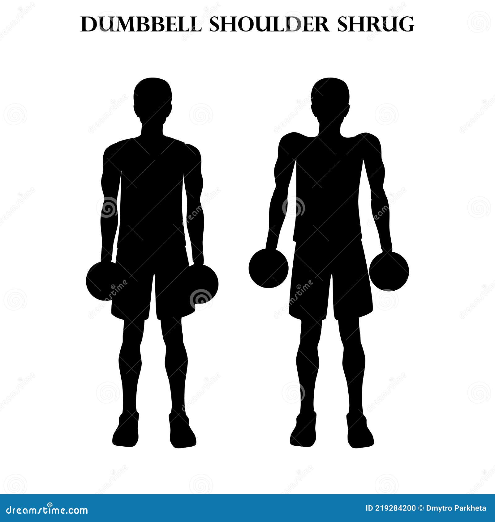 Dumbbell Shoulder Shrug Exercise Strength Workout Illustration ...