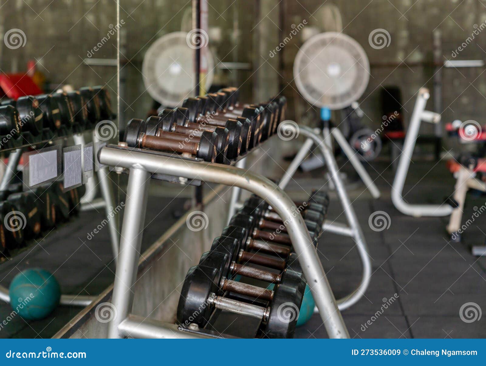 Dumbbell Stack Infront of Mirror. Stock Image - Image of loss ...