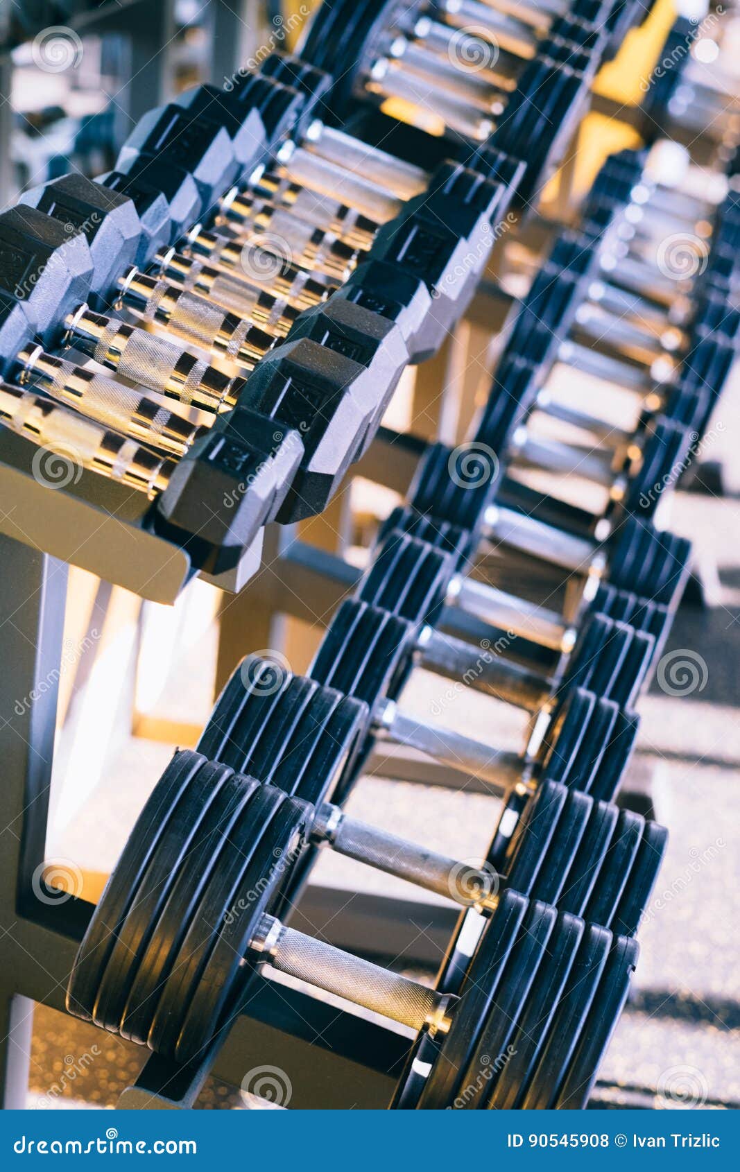 Dumbbell Weights Equipment in a Row at the Gym Stock Photo - Image of ...