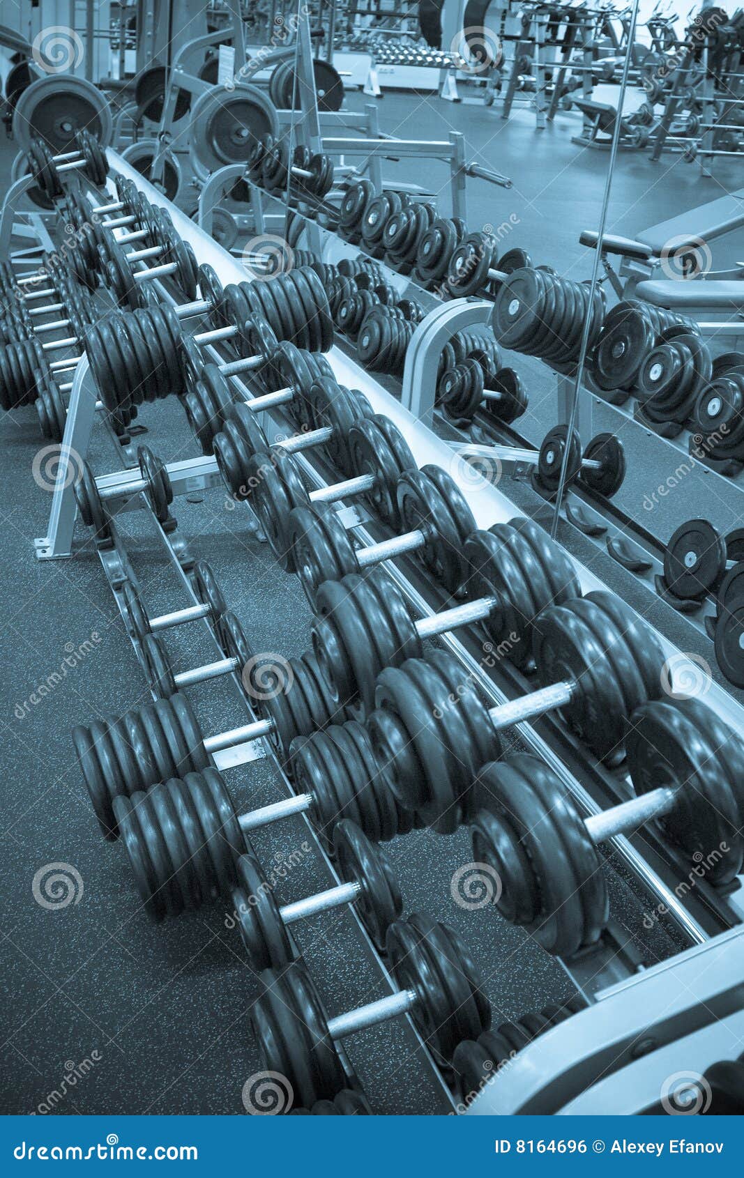 Dumbbells Picture. Image: 8164696