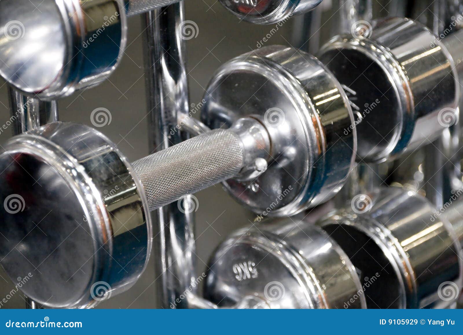 Dumbbells stock image. Image of fitness, activity, lifting - 9105929