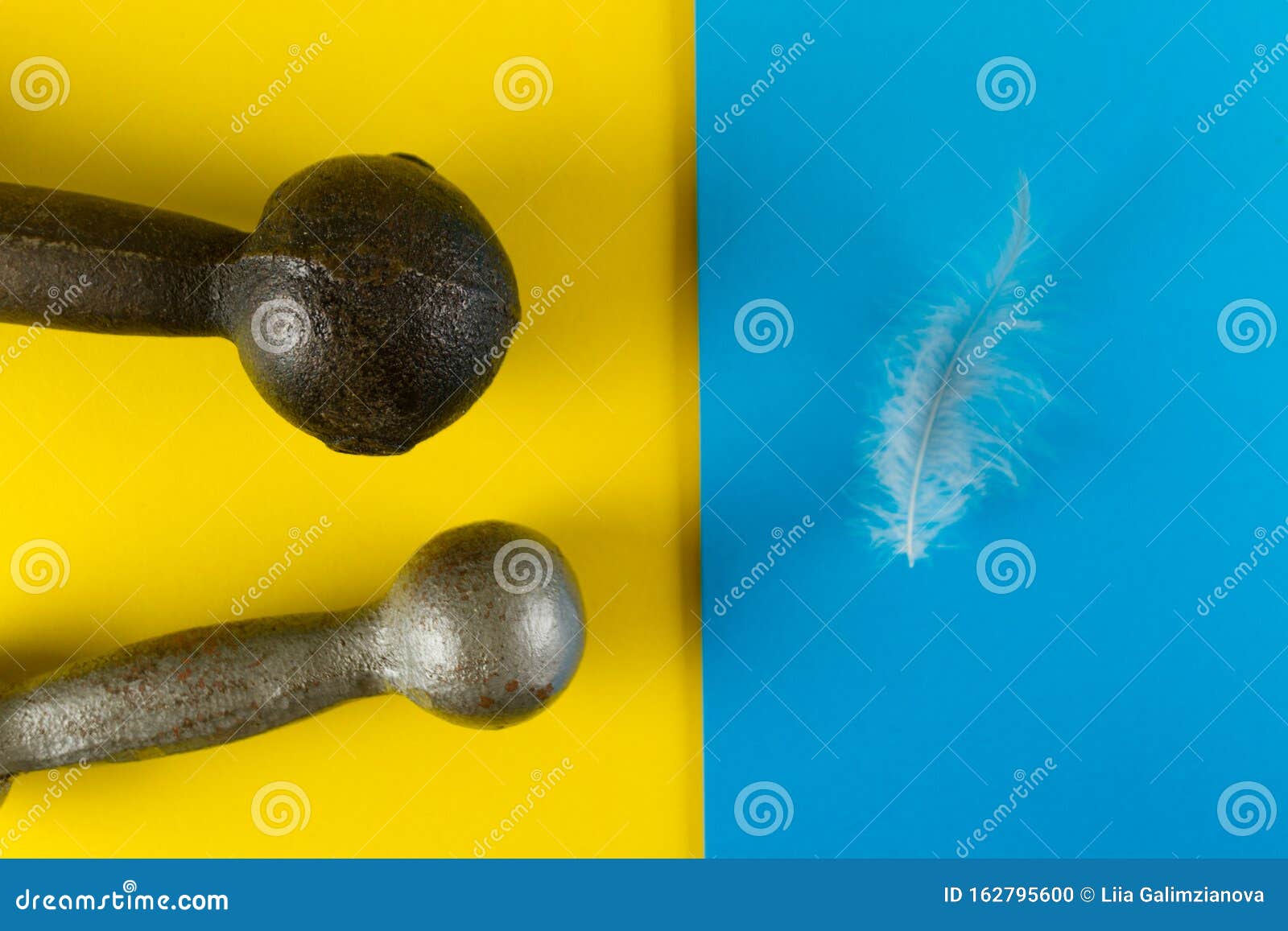 Dumbbells and feather stock photo. Image of container - 162795600