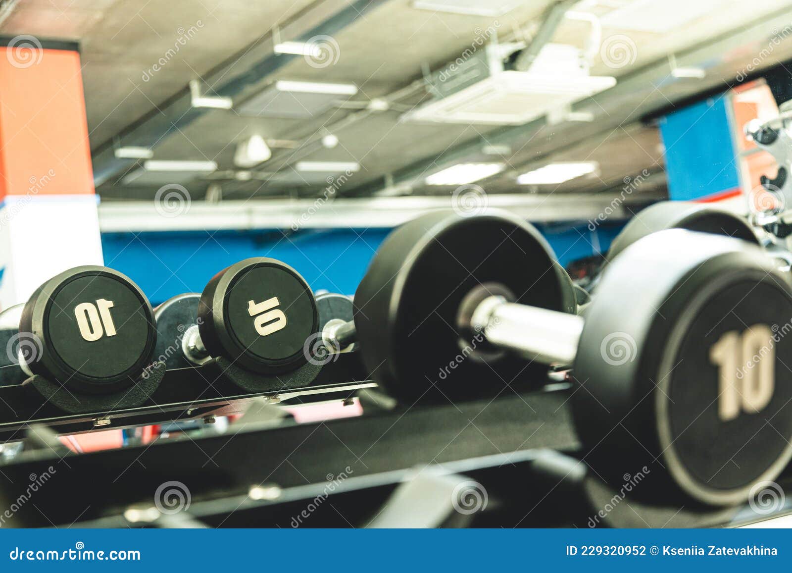 Dumbbells in the Interior of the Gym without People Stock Photo - Image ...