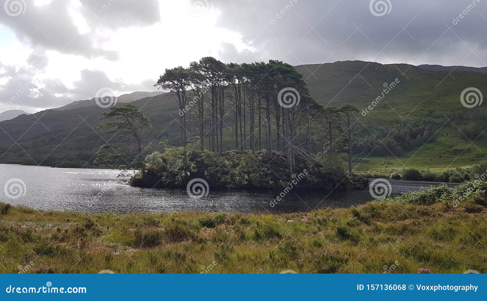 Dumbledore Grave stock photo. Image of dumbledores, scotland - 157136068