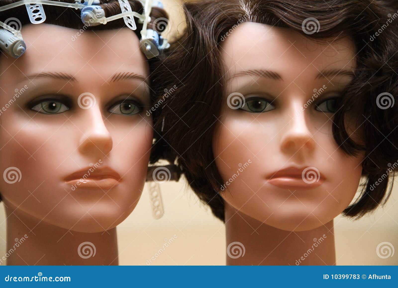 Dummy stock image. Image of anthropomorphous, female - 10399783