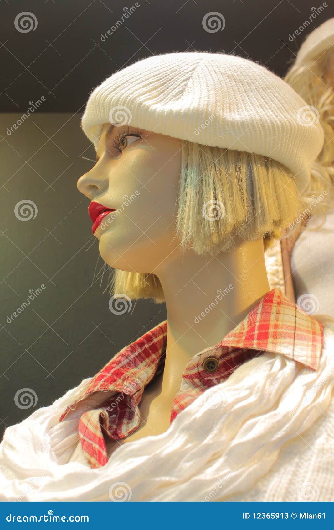 Dummy stock image. Image of style, face, dummy, store - 12365913