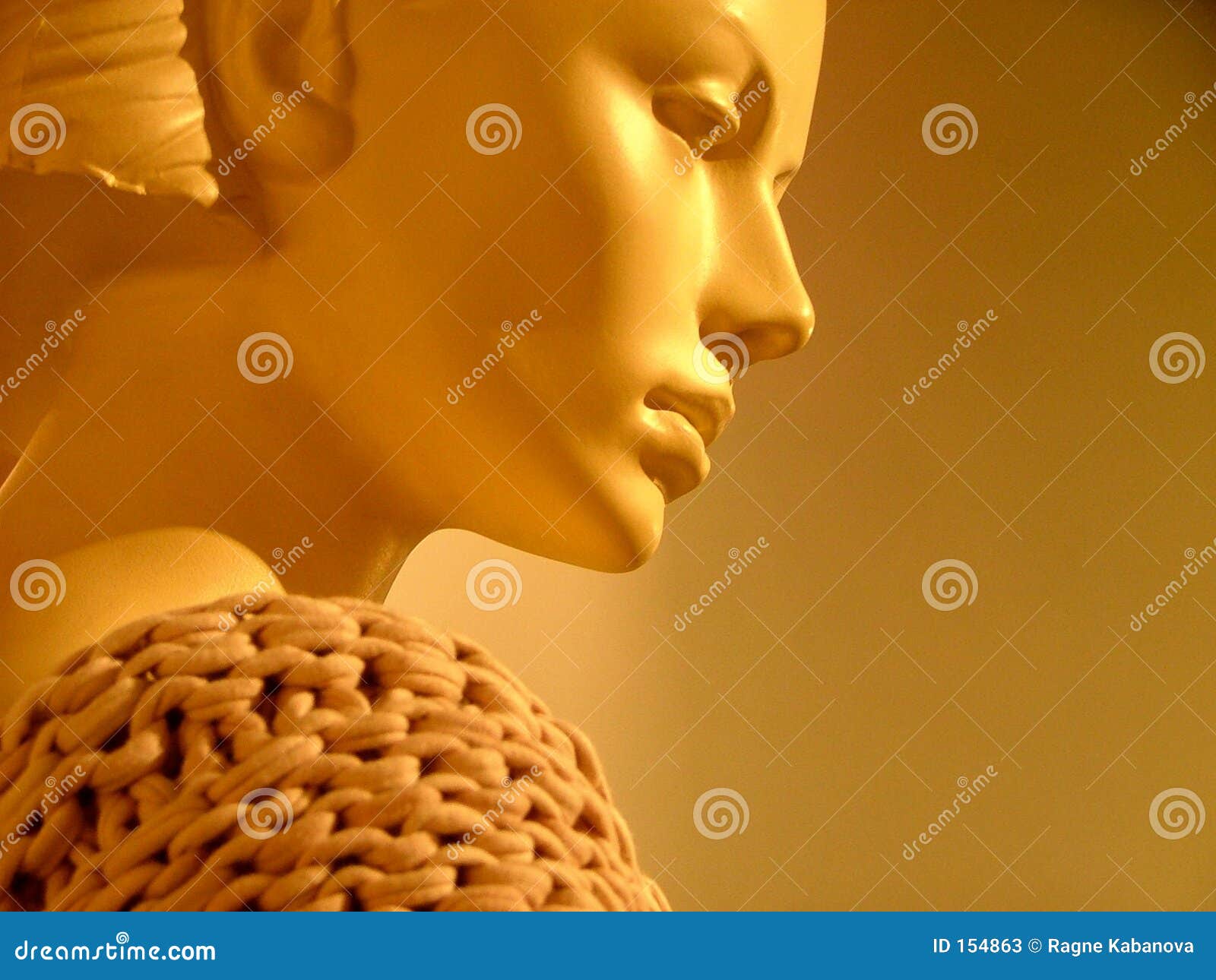 Dummy stock image. Image of close, female, artificial, model - 154863