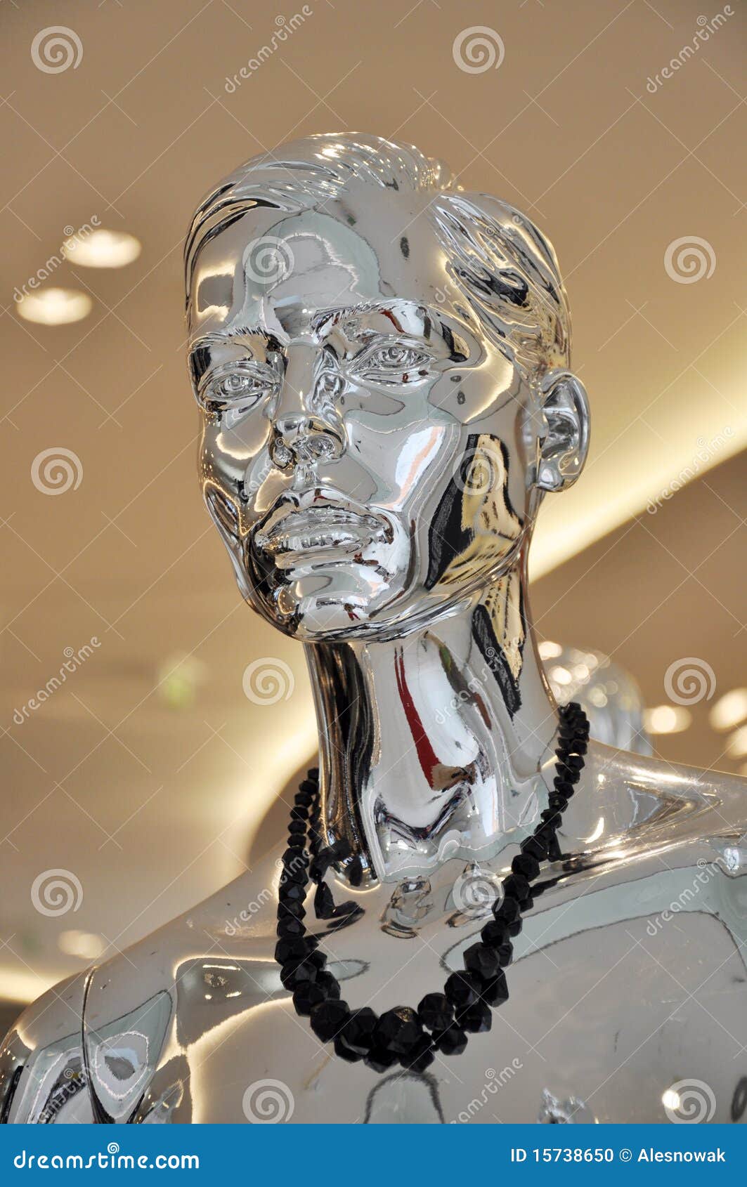 Dummy stock photo. Image of mannequin, mirror, elegance - 15738650