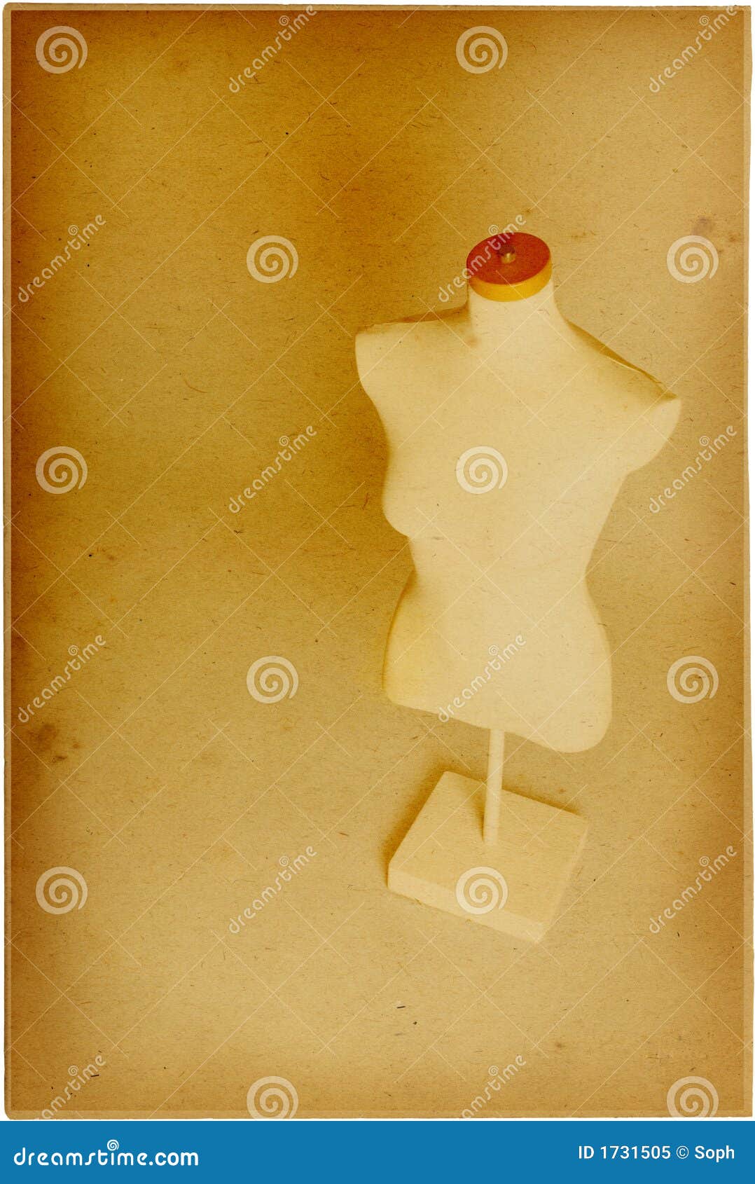 Dummy stock image. Image of dressmaker, person, texture - 1731505