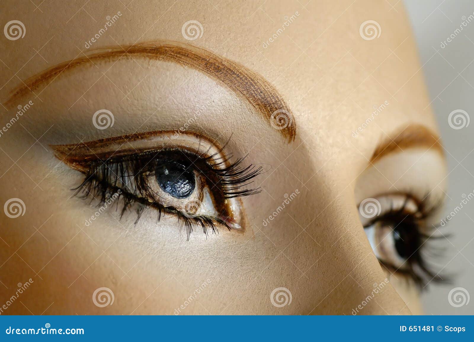 Dummy eyes stock image. Image of buying, lady, doll, body - 651481