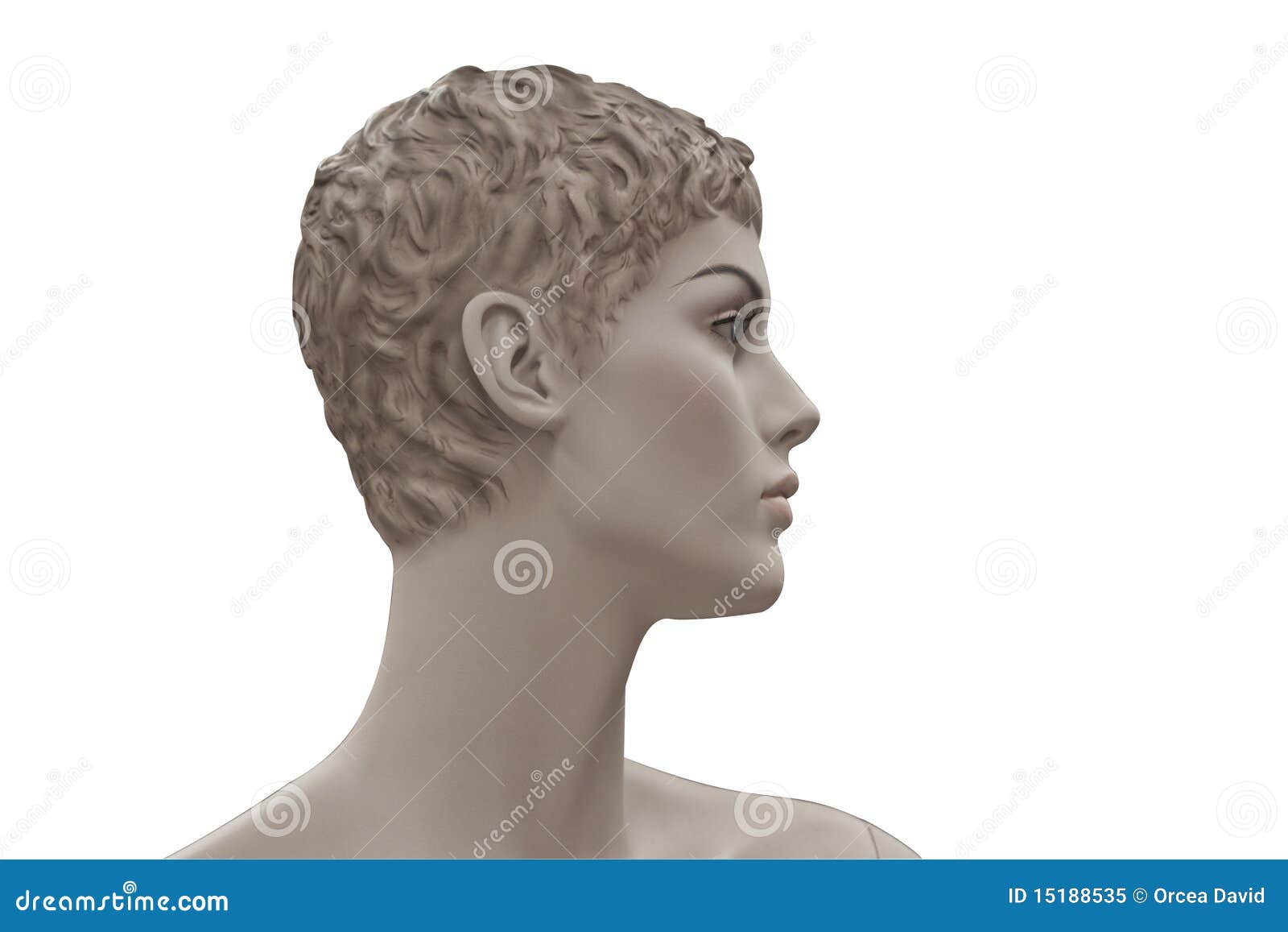 Dummy on white stock image. Image of beauty, commercial - 15188535