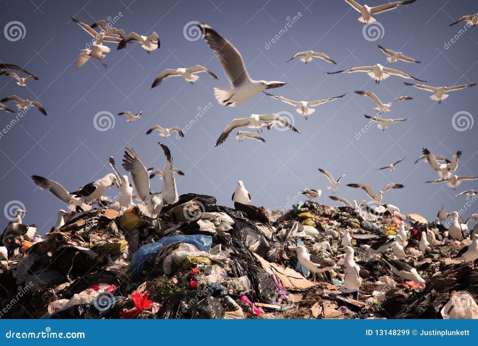 At the dump stock image. Image of garbage, truck, rubbish - 13148299